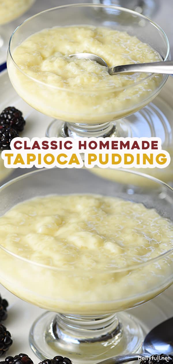 Tapioca Pudding Recipe - Belly Full