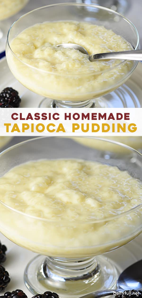 Tapioca Pudding Recipe - Belly Full