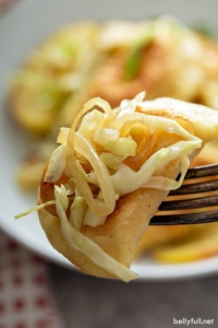 Pierogi Recipe with Cabbage and Apples - Belly Full