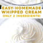 {2 ingredient} Easy Homemade Whipped Cream - Belly Full
