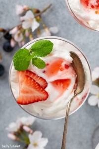 Easy Mixed Berry Fruit Fool - Belly Full