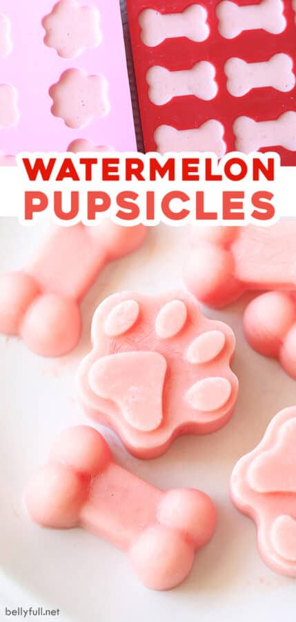 Watermelon Pupsicles {Frozen Dog Treats} - Belly Full