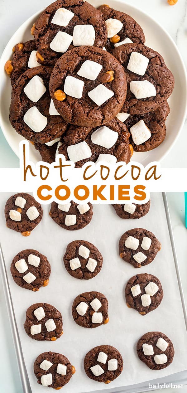 {Flourless} Hot Cocoa Cookies - Belly Full