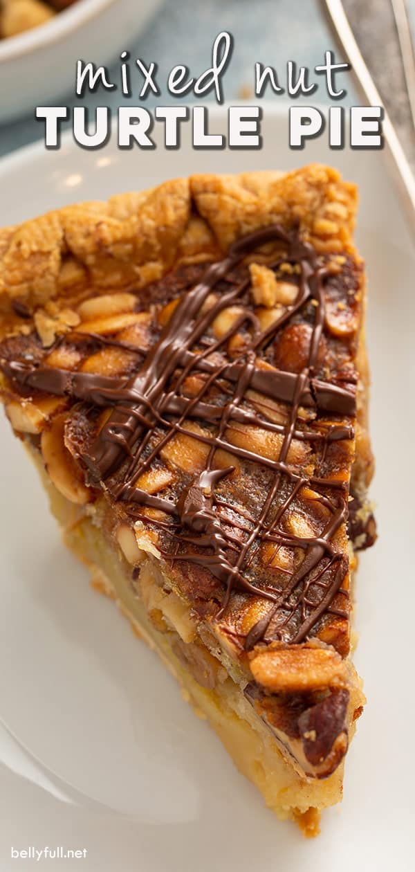 Mixed-Nut Turtle Pie - Belly Full