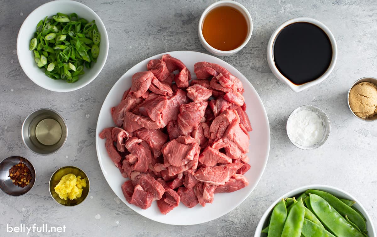 Beef Stir Fry Recipe {20 minute meal!} - Belly Full