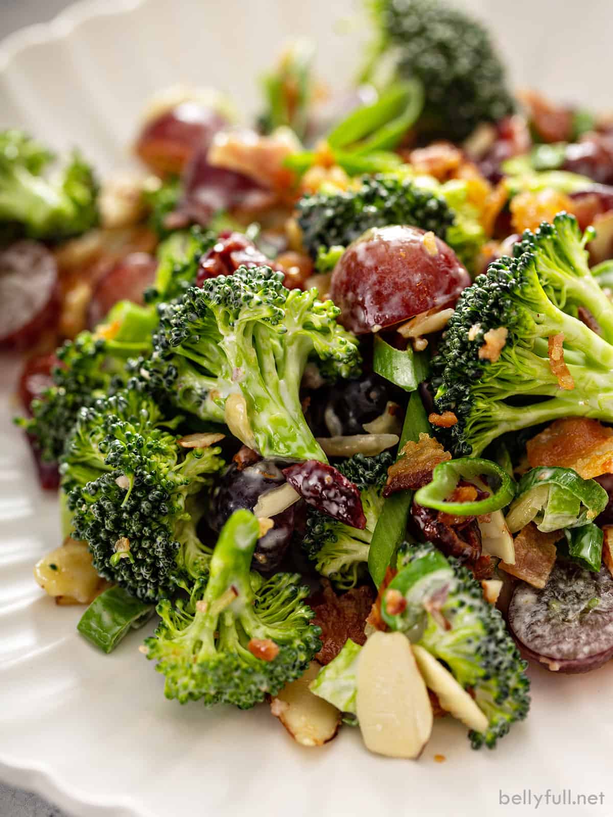 {The Best!} Broccoli Salad Recipe - Belly Full
