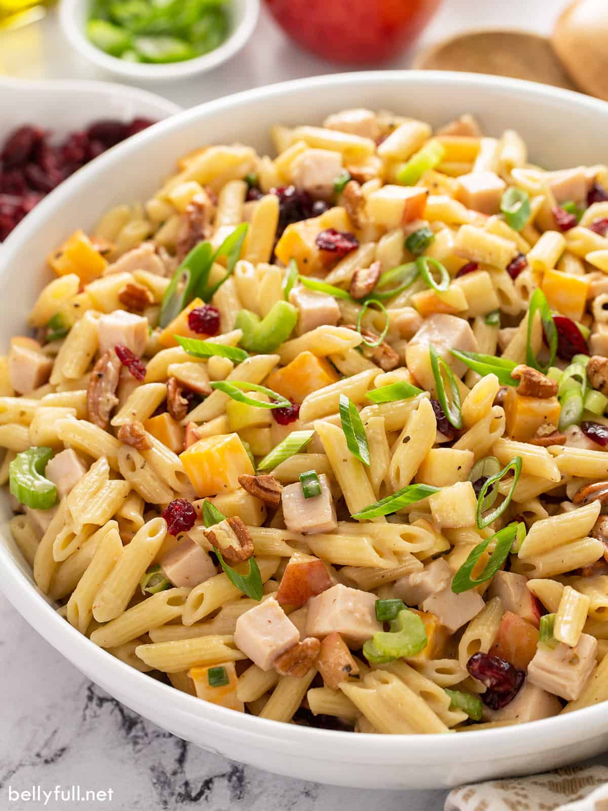 Turkey Apple Pasta Salad - Belly Full
