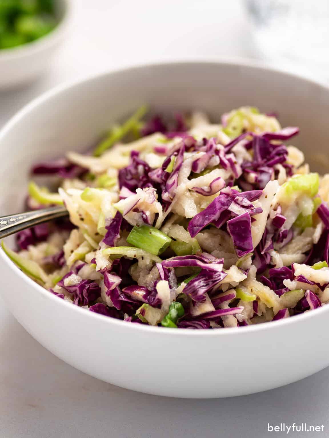 Red Cabbage Slaw Recipe {with apple!} - Belly Full