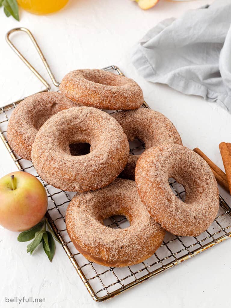 Baked Apple Cider Donuts Recipe - Belly Full