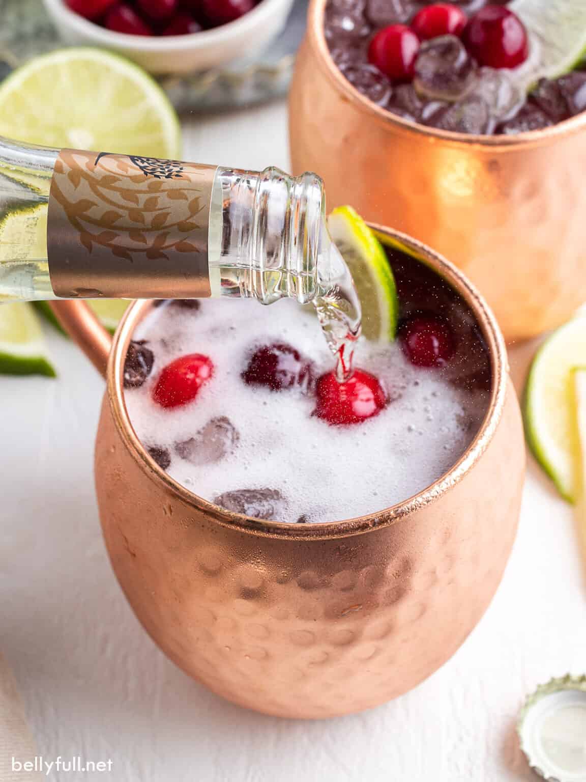 Cranberry Moscow Mule Recipe - Belly Full