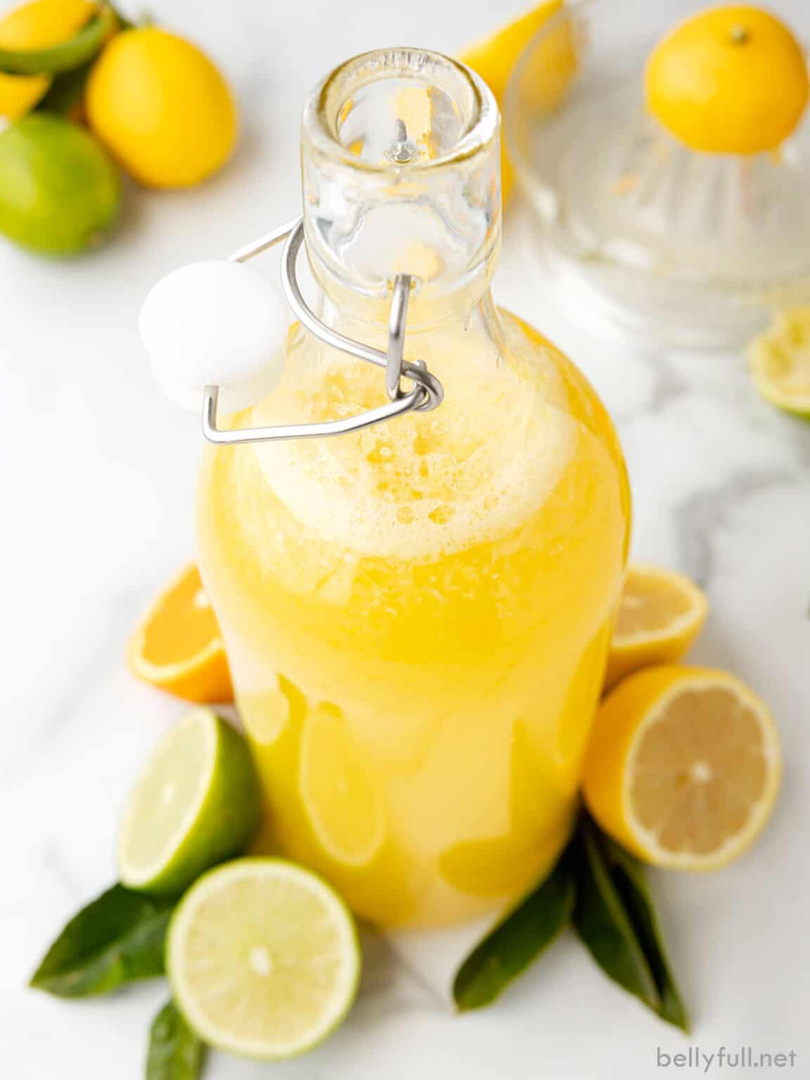 Homemade Margarita Mix Recipe {4 Ingredients} - Belly Full