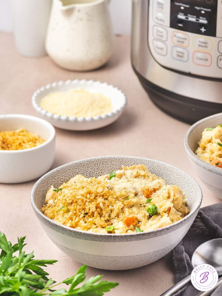 Instant Pot Chicken and Rice - Belly Full