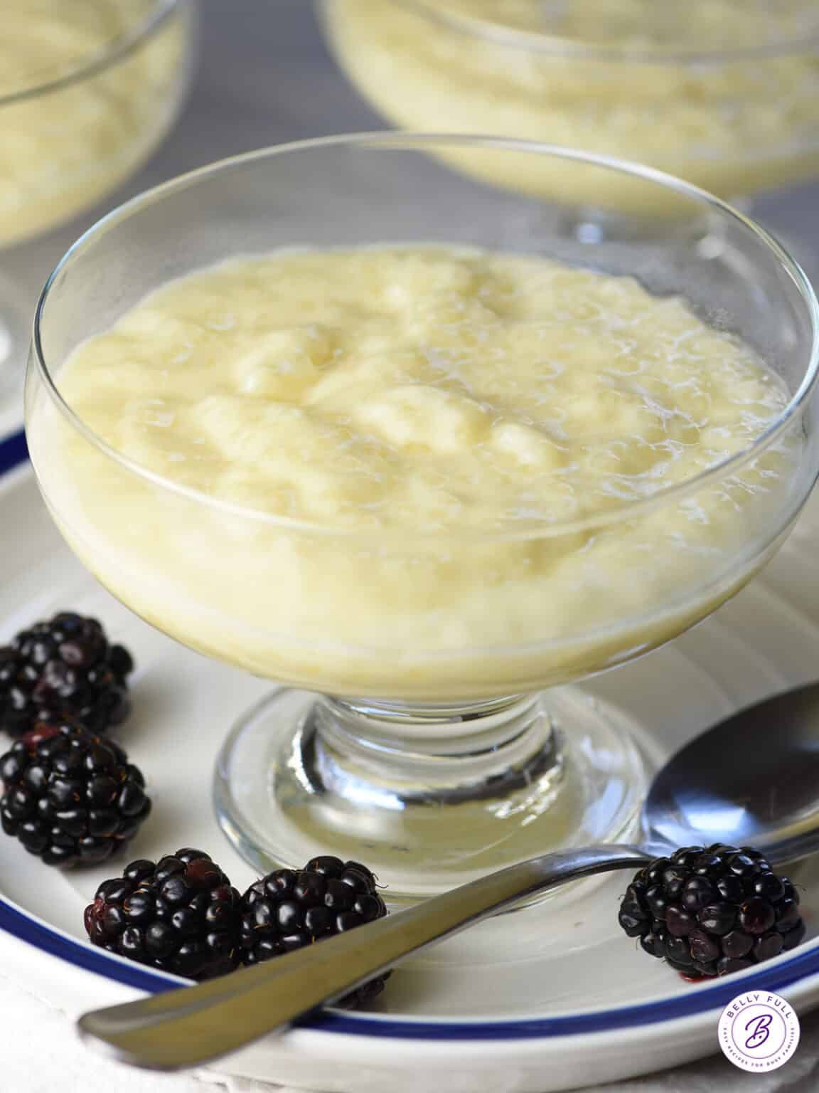 Tapioca Pudding Recipe | Belly Full