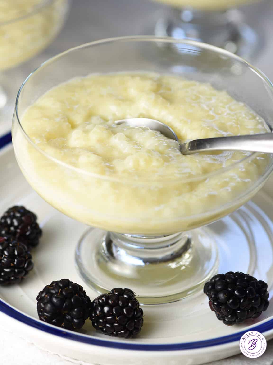 Tapioca Pudding Recipe | Belly Full