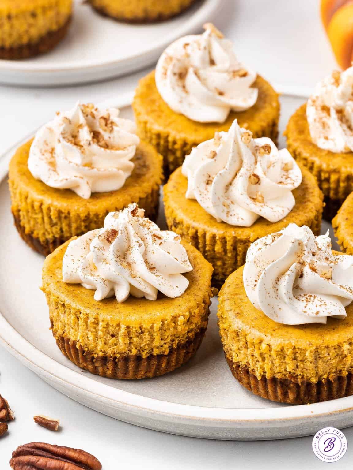 Mini Pumpkin Cheesecakes Recipe Belly Full