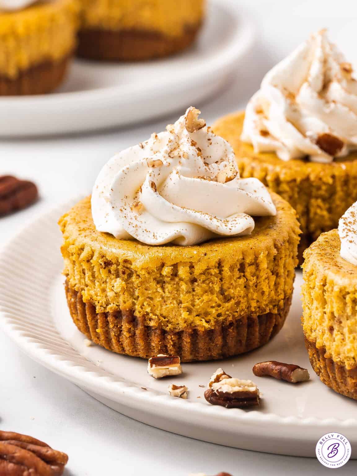 Mini Pumpkin Cheesecakes Recipe - Belly Full
