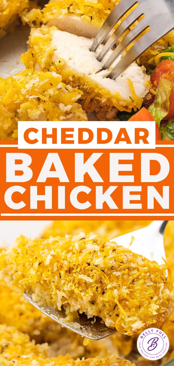 Cheddar Baked Chicken - Belly Full
