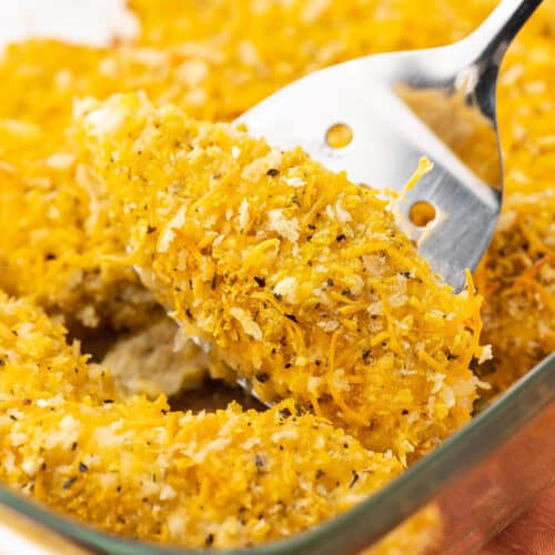 Cheddar Baked Chicken - Belly Full