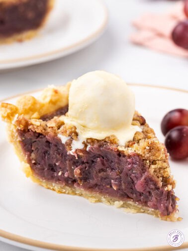 Grape Pie Recipe l Belly Full