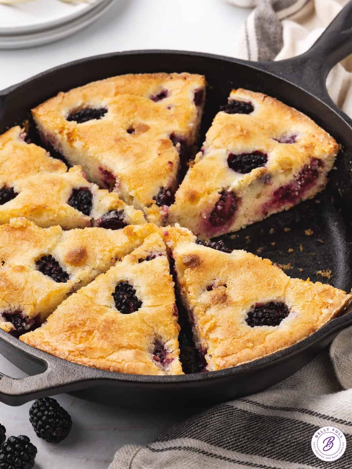 Easy Blackberry Cake - Belly Full