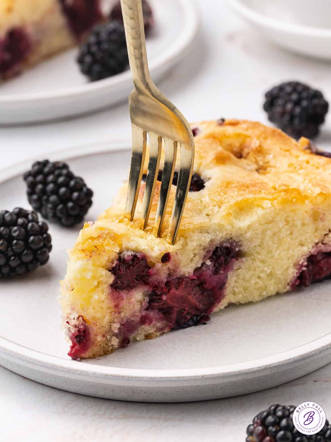 Easy Blackberry Cake - Belly Full