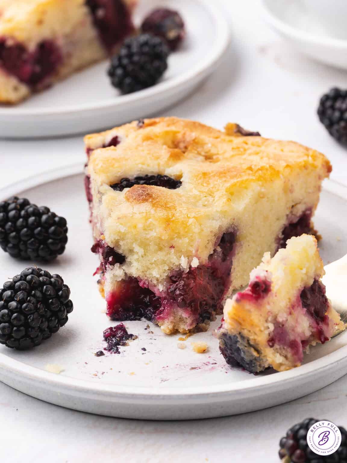 Easy Blackberry Cake - Belly Full