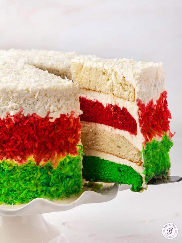 4-Layer Christmas Cake l Belly Full