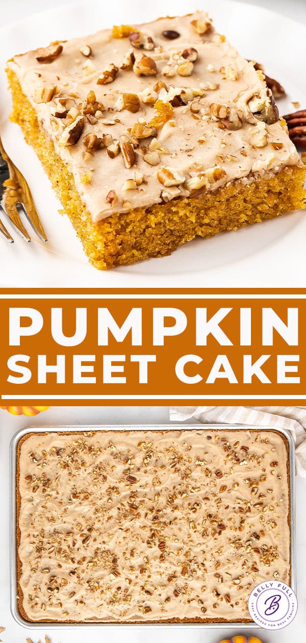 Pumpkin Sheet Cake l Belly Full