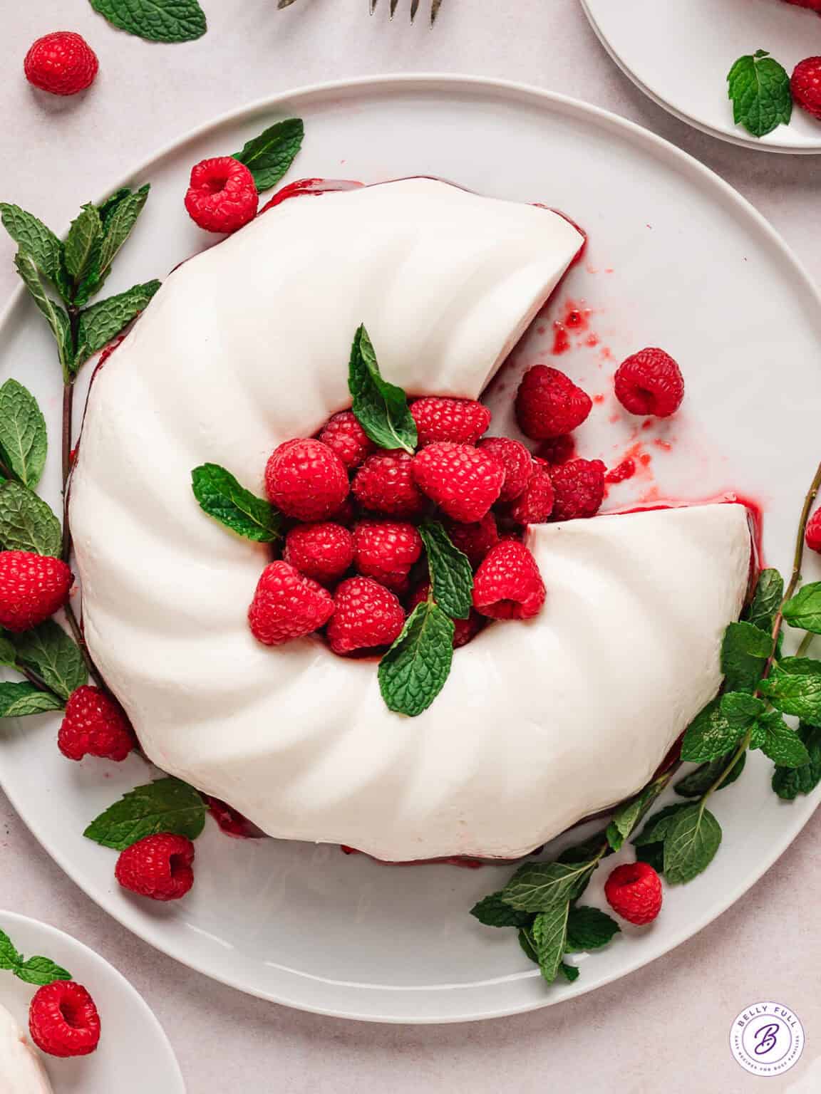Snowy Raspberry Jello Mold l Belly Full