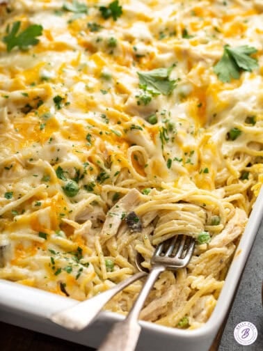 Easy Chicken Recipes - Belly Full