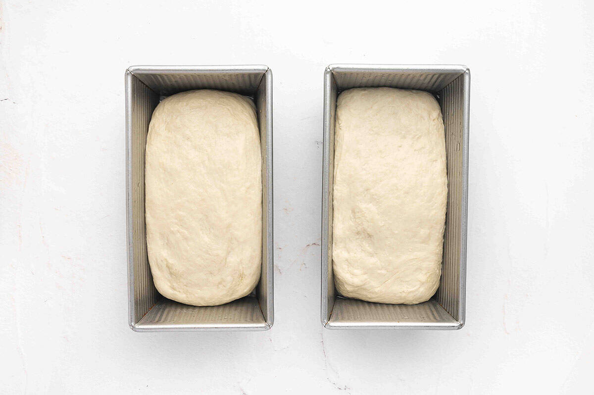 {World’s Easiest!} Homemade Sandwich Bread | Belly Full