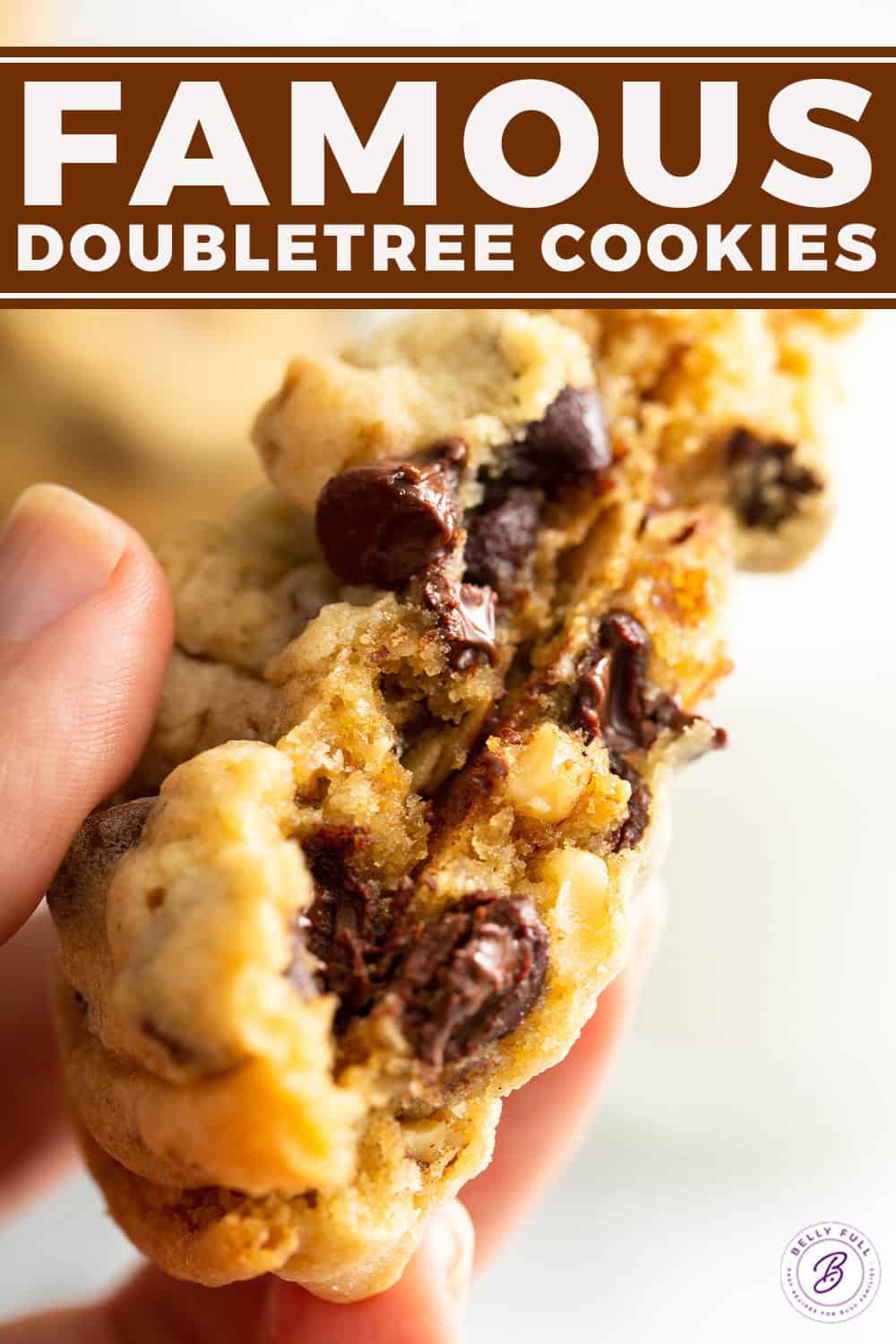 DoubleTree Cookies Recipe | Belly Full