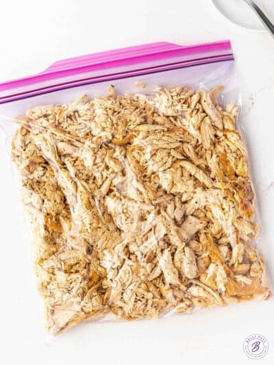 Best Shredded Chicken l Belly Full