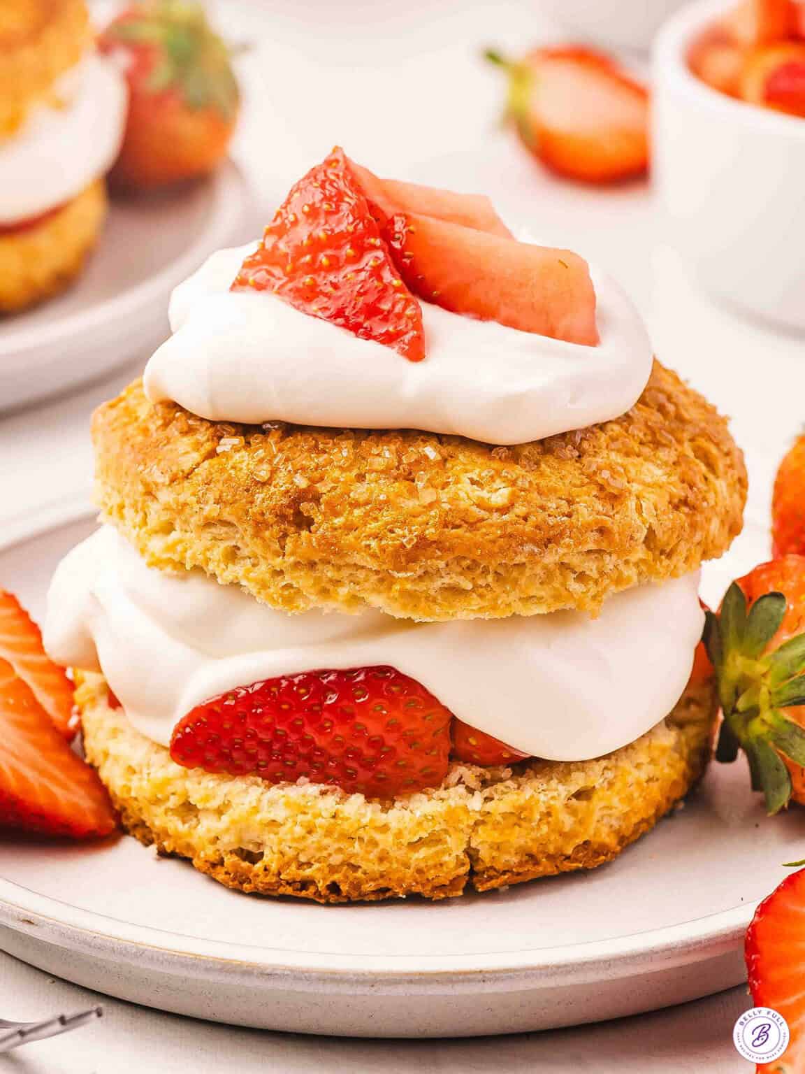 Cuppa Cuppa Cake Recipe l Belly Full